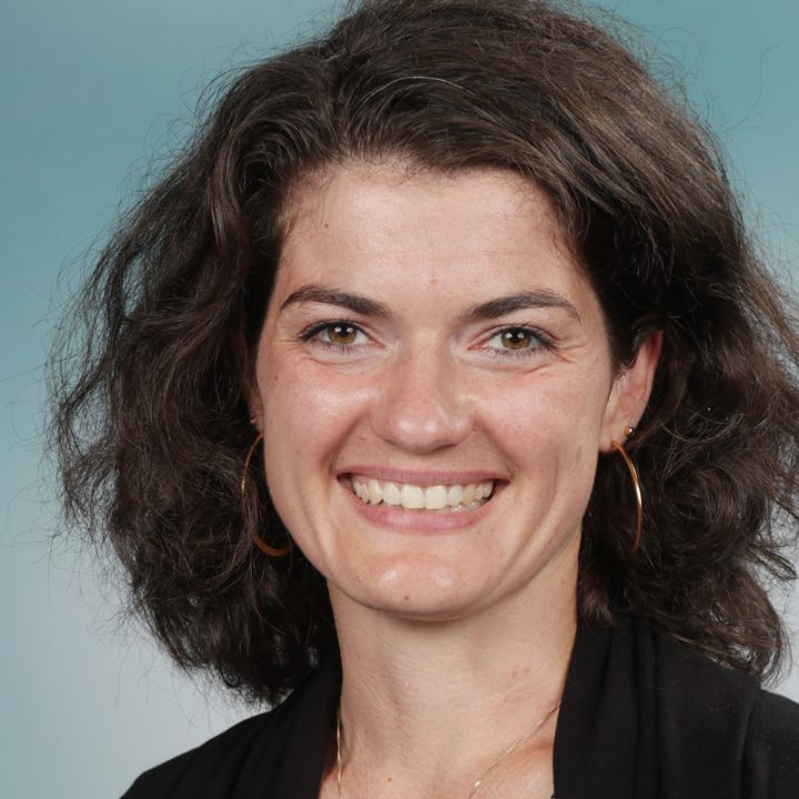 Kollegium – Immanuel Kant Gymnasium